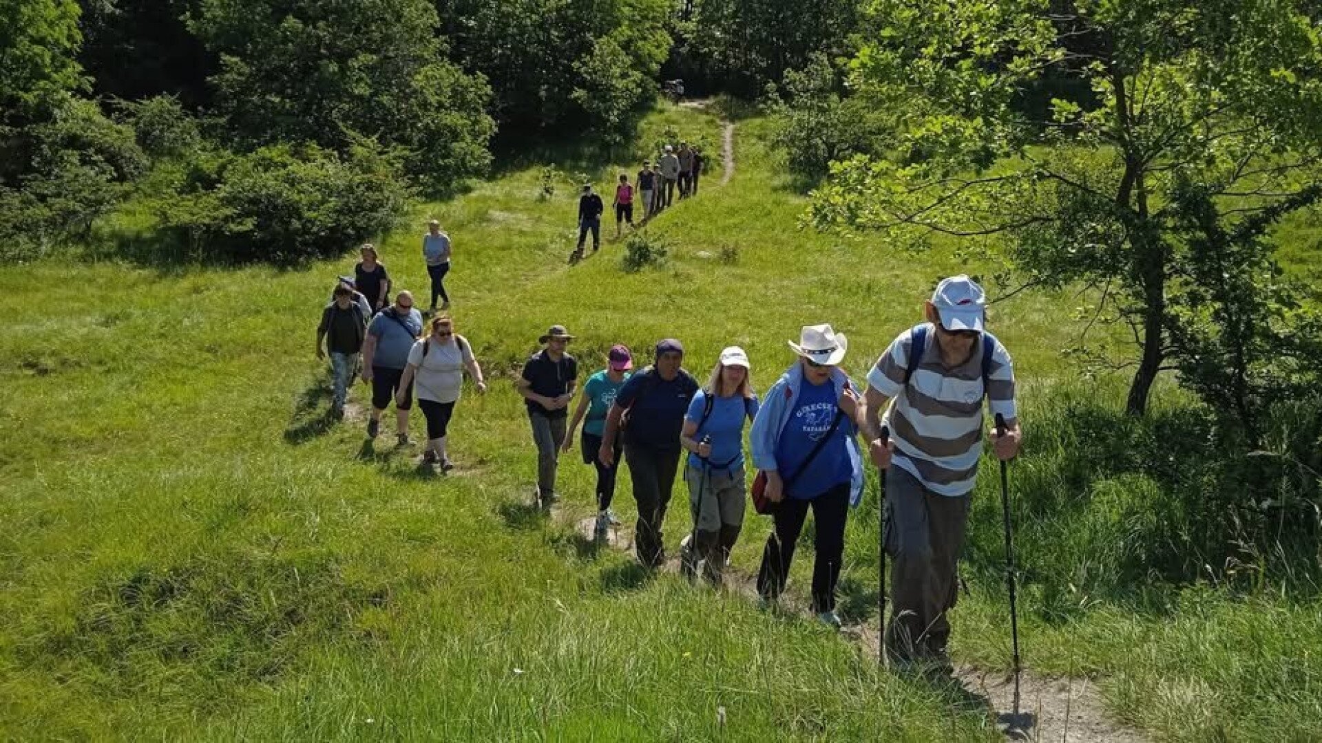 Bécsi-domb túra - Részletek - Sopron Régió