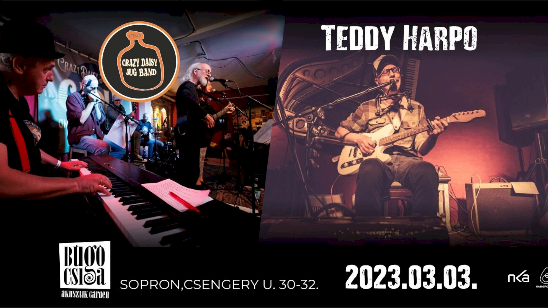 Teddy Harpo • Crazy Daisy Jug Band • Búgócsiga - Részletek - Sopron Régió
